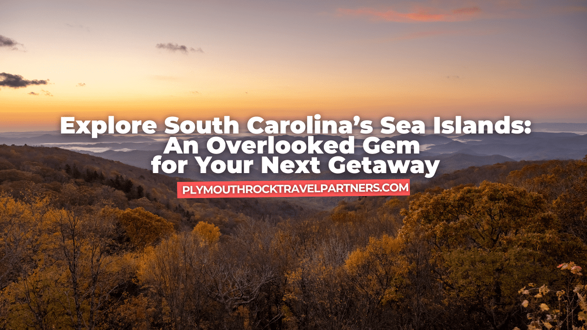 Explore South Carolina’s Sea Islands: An Overlooked Gem for Your Next ...